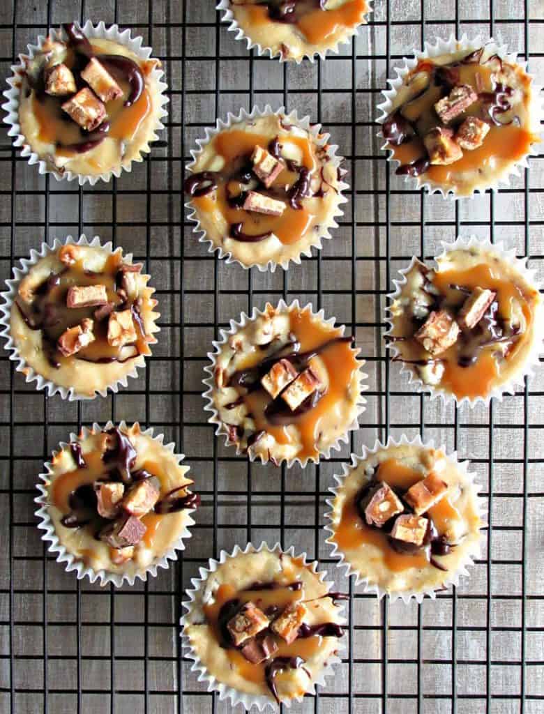 Snickers Cheesecake Bites with crushed pretzel crust - A Gouda Life