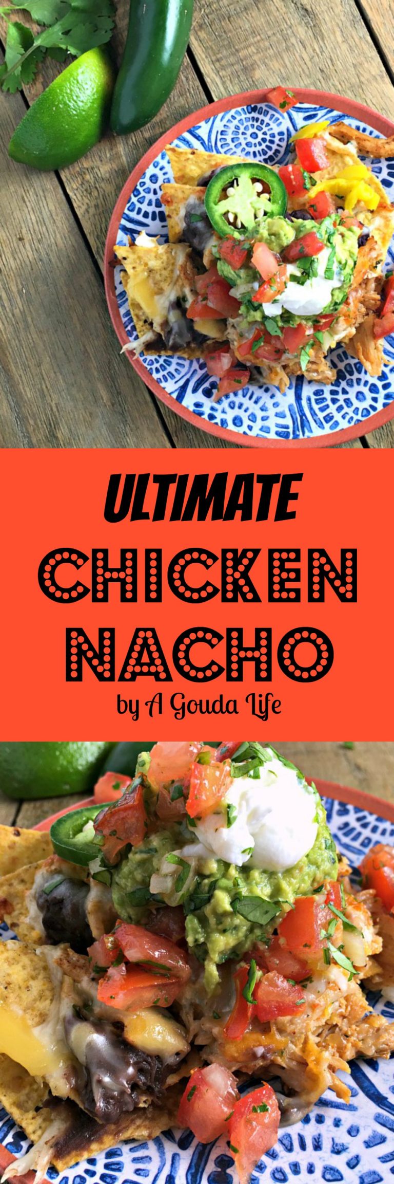 Ultimate Chicken Nachos recipe from A Gouda Life